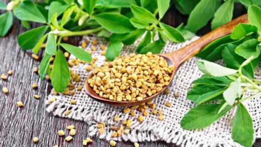 Health Benefits Of Methi Fenugreek Seeds - Ayurvedic Upchar