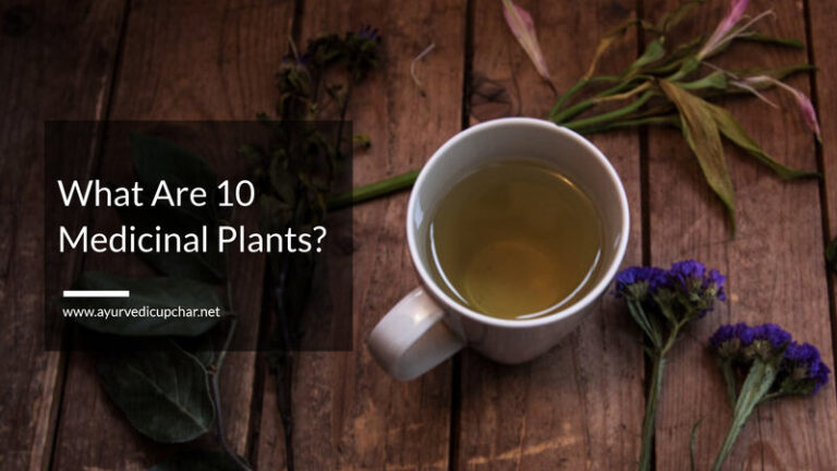 What Are 10 Medicinal Plants? Its Uses And Benefits - Ayurvedic Upchar