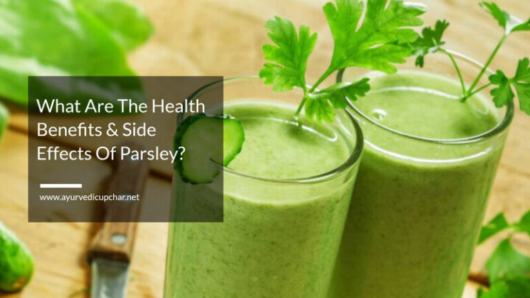 What Are The Health Benefits & Side Effects Of Parsley? - Ayurvedic Upchar